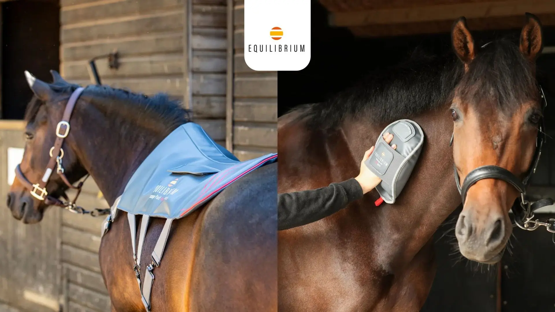 La thérapie par la chaleur pour les chevaux: Quand, pourquoi et comment ...